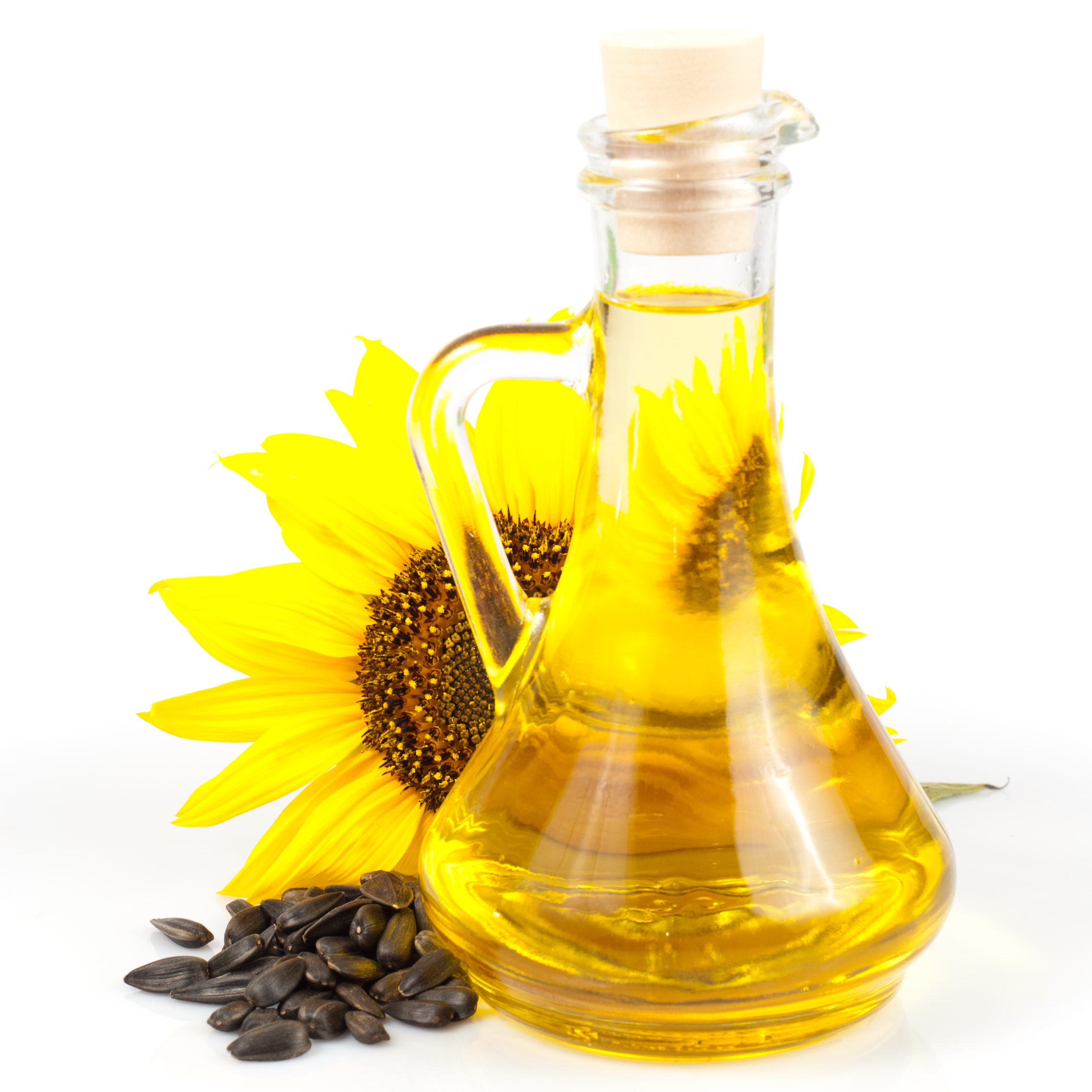 Seed Oils and Colon Cancer Risk | Insights from Dr. Anton Bilchik